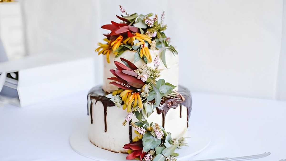 Top Delicious Pastry Cake Designs To Soften Anyone's Heart
